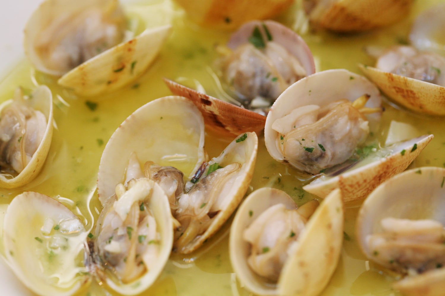 Restaurante La Trainera Madrid - Pescados y Mariscos